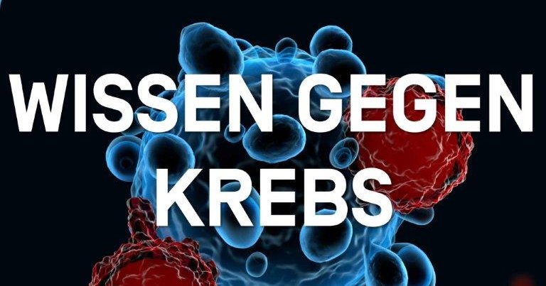 Schwieriger Kampf gegen Glioblastome – hilft ein Antidepressivum ...